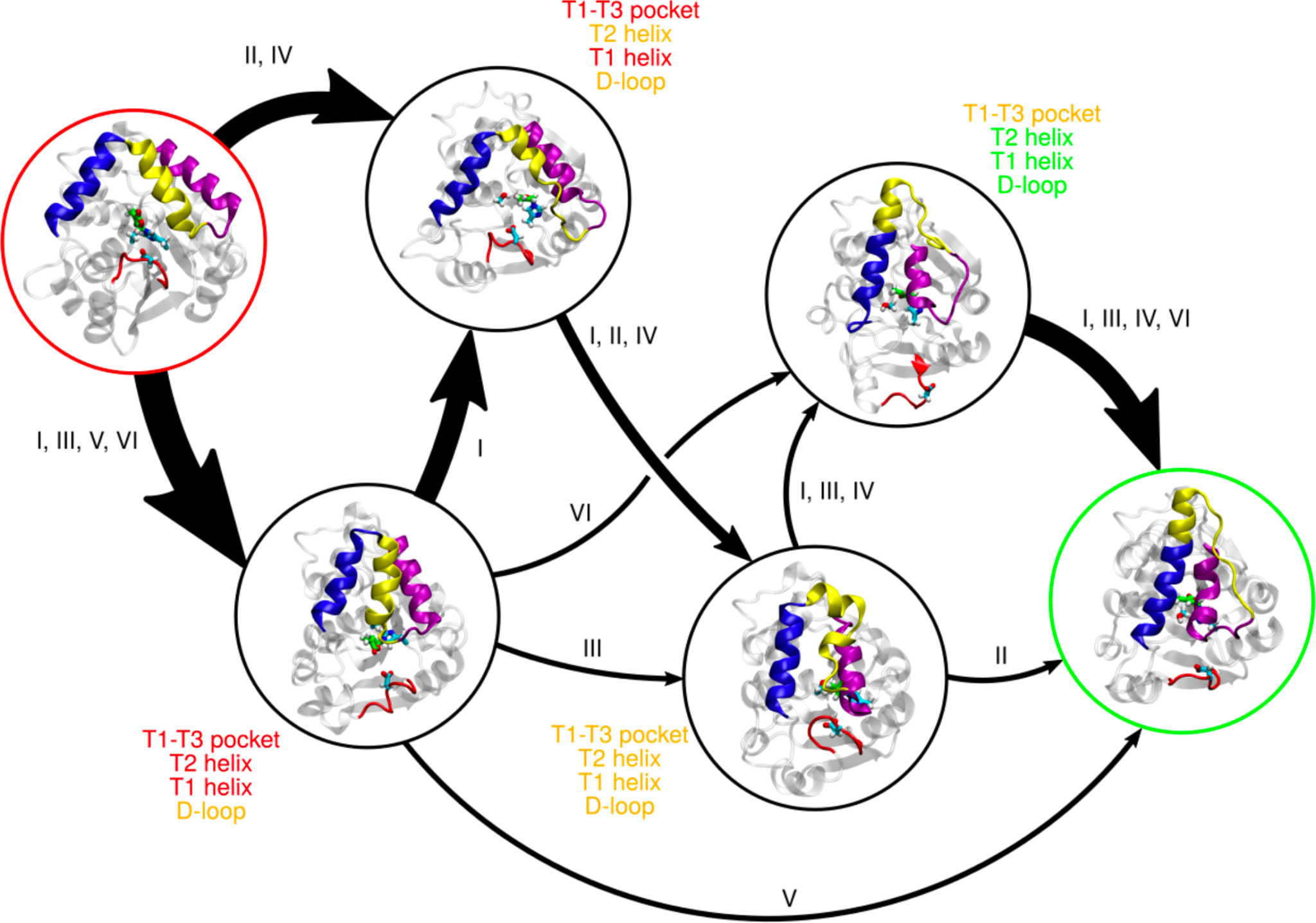 Effect of Histidine Covalent Modification on Strigolactone Receptor ...