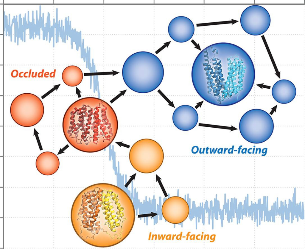 Publications – Shukla Group